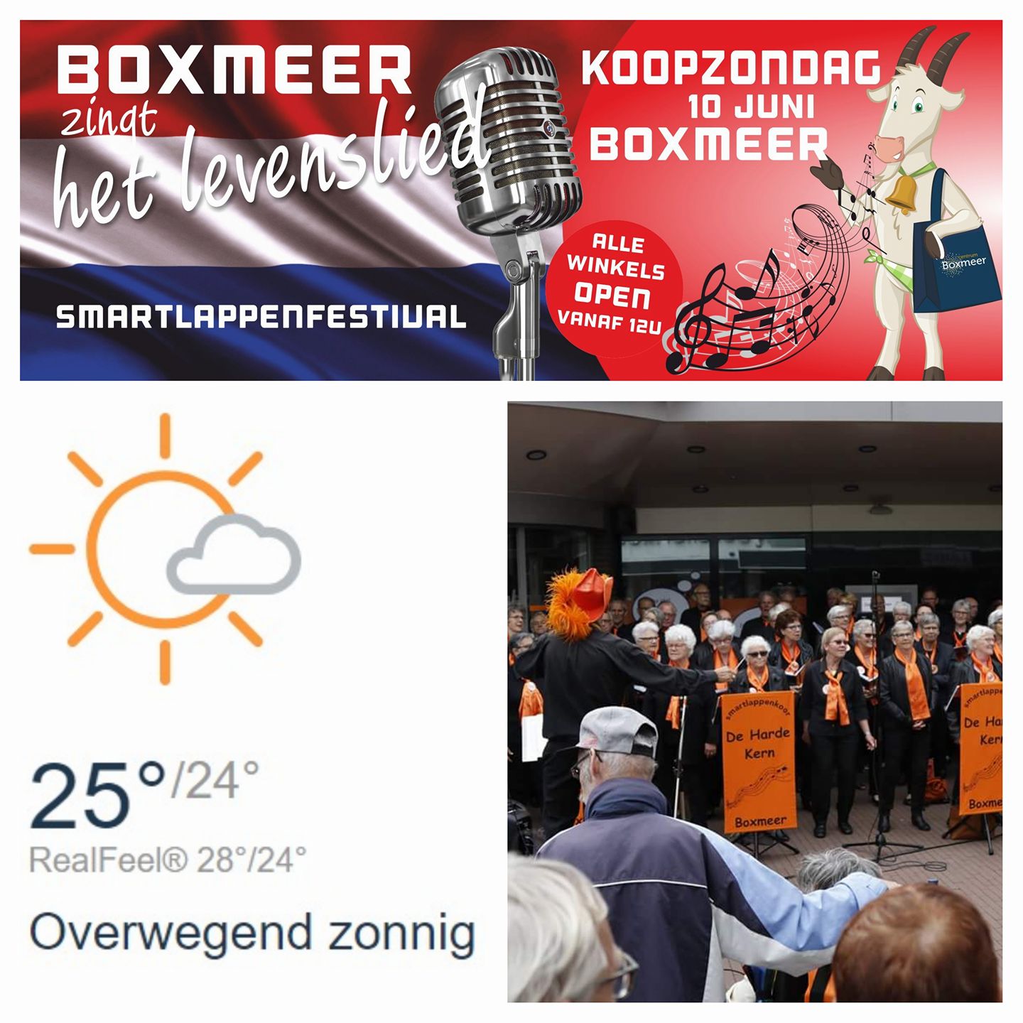 Al dit moois in het winkelcentrum van Boxmeer - Centrum Boxmeer