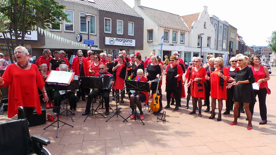 Al dit moois in het winkelcentrum van Boxmeer - Centrum Boxmeer