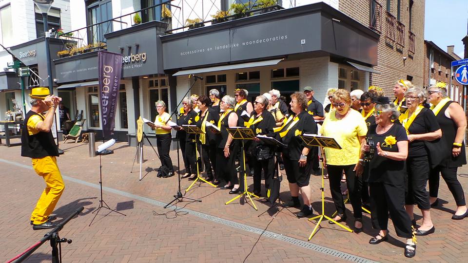 Al dit moois in het winkelcentrum van Boxmeer - Centrum Boxmeer